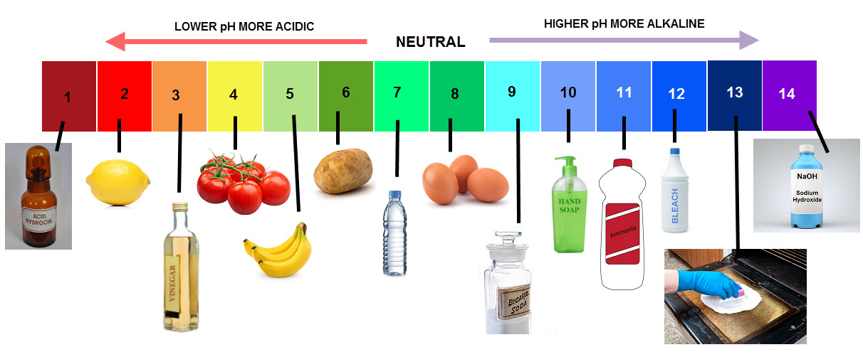 06 Indicators Of Acids And Bases MYP Science 06 Indicators Of Acids And Bases MYP Science